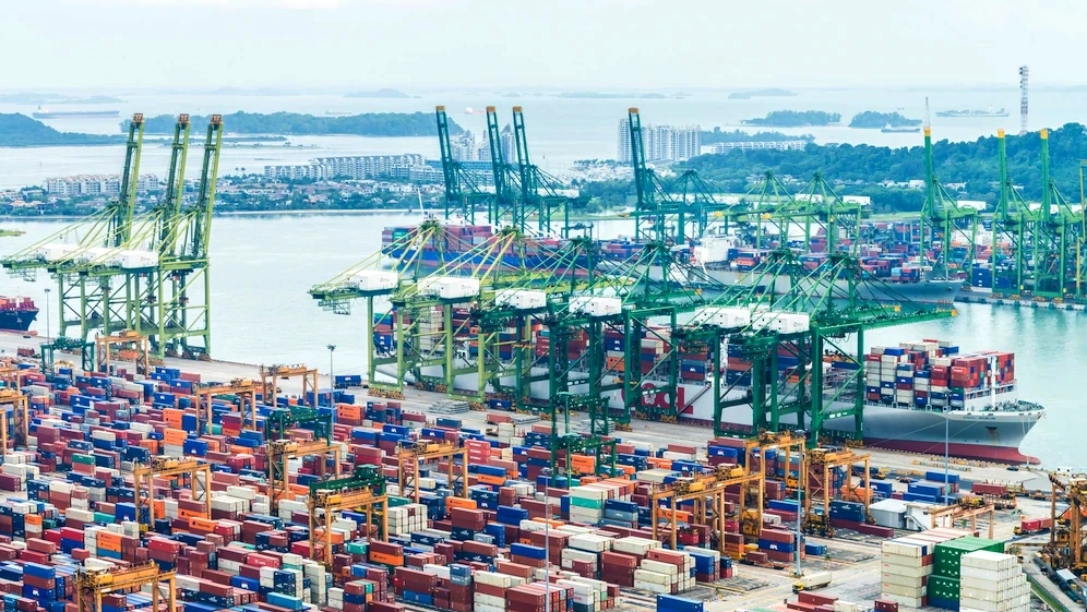 Avanza la transición digital en TCBUEN con la implementación de ...